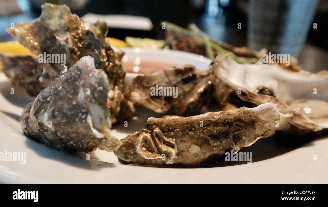 Oysters Shellfish on the Table Dining Stock Photo - Alamy