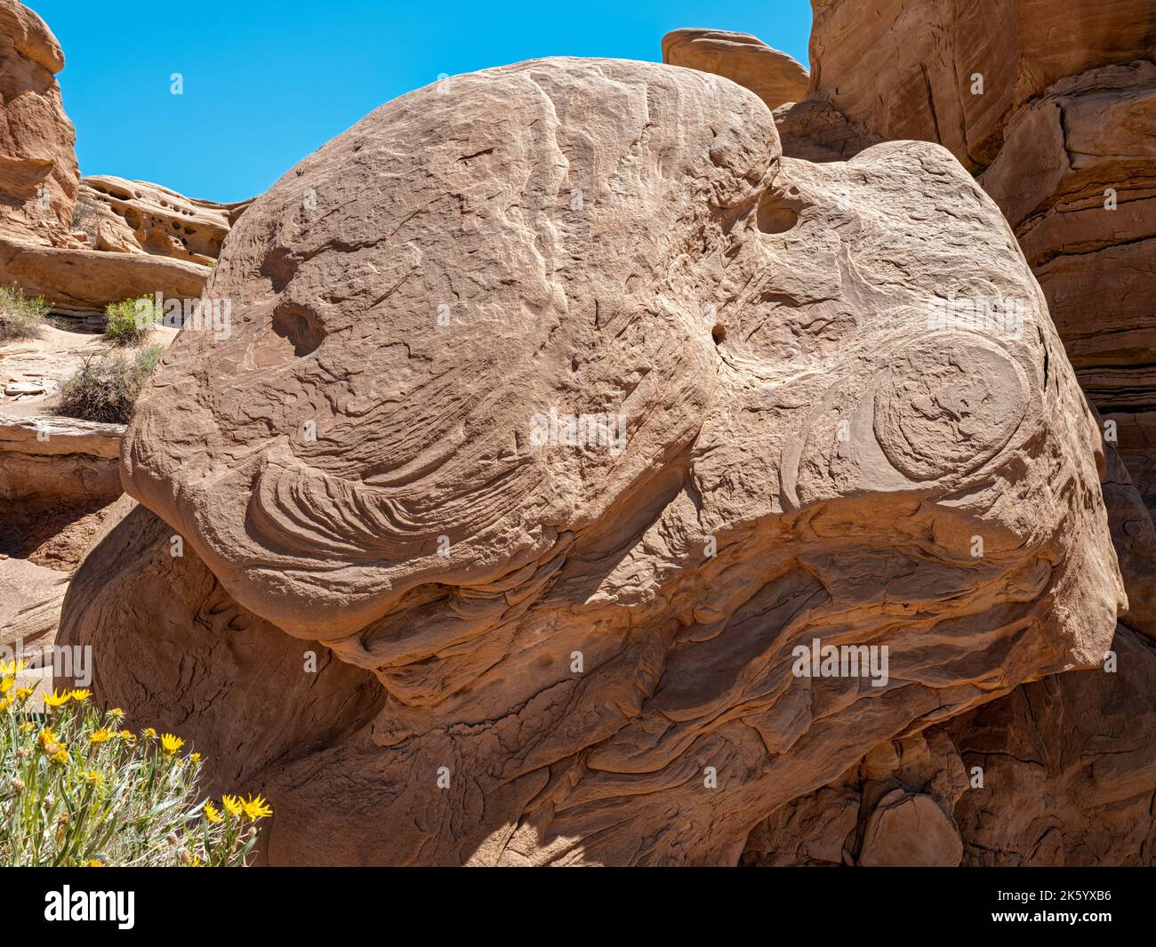 Circular patterns of erosion are evident on a large rock in the Grand ...