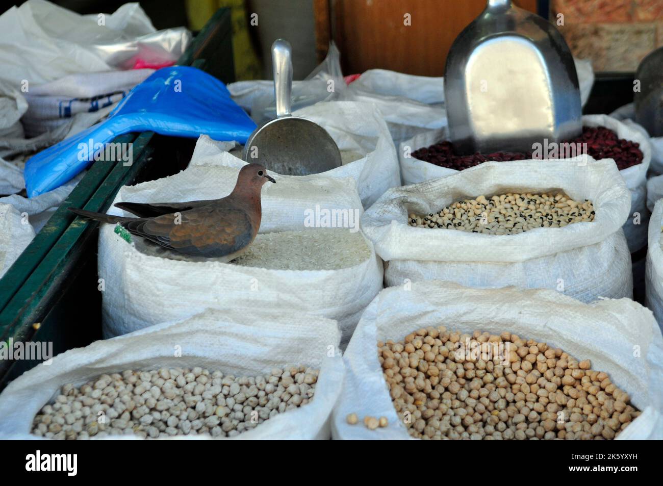 The vibrant Machane Yehuda market in Jerusalem, Israel Stock Photo - Alamy