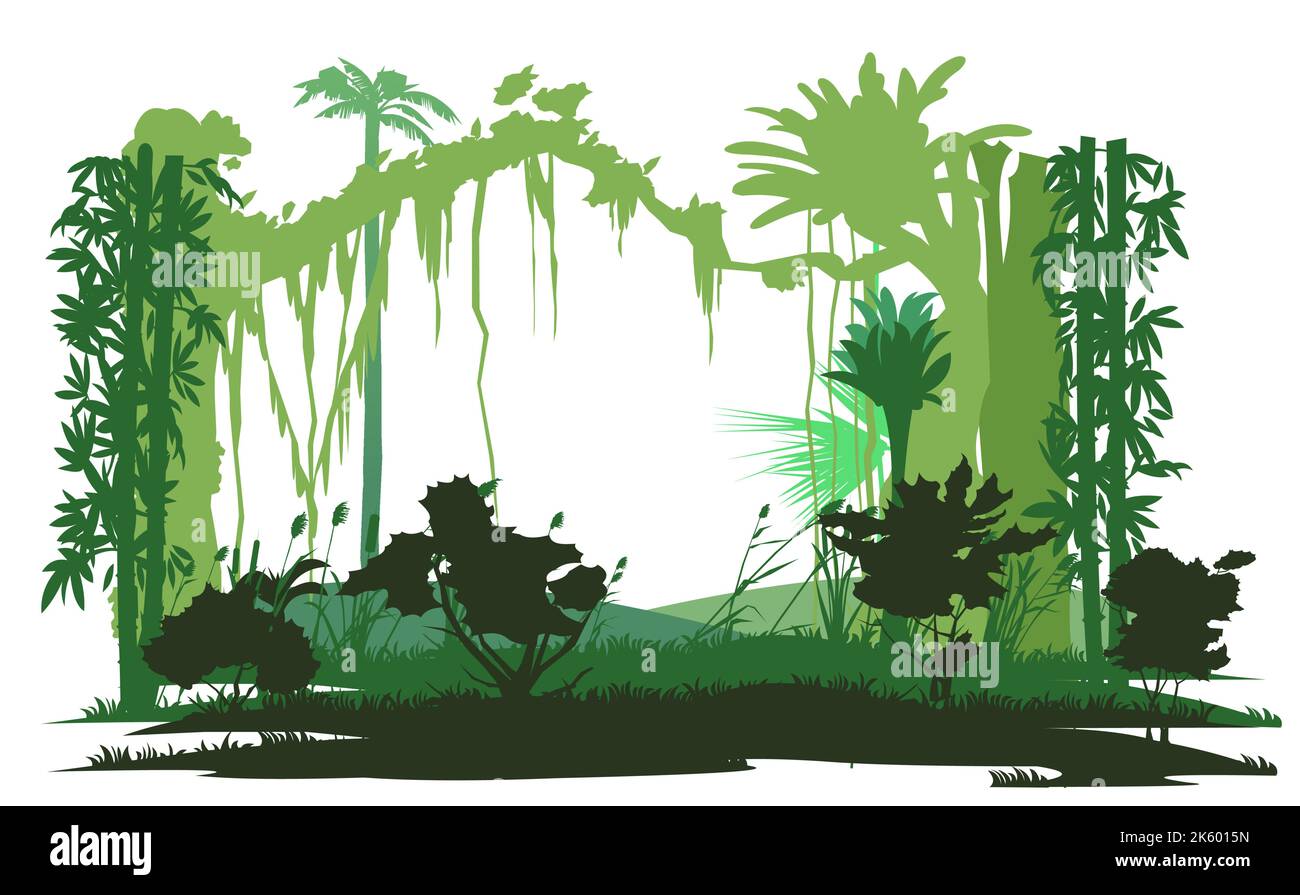 Dense jungle Cut Out Stock Images & Pictures - Alamy