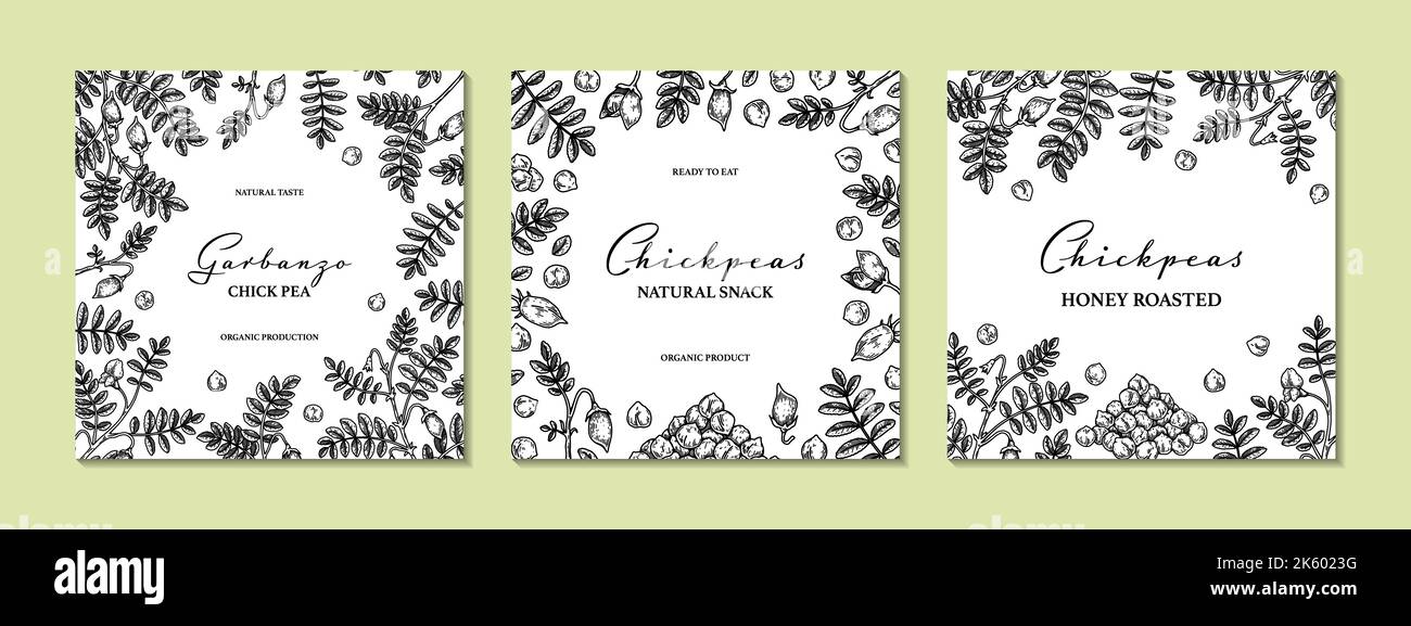 Set of hand drawn chickpeas botany backgrounds. Vector illustration in ...