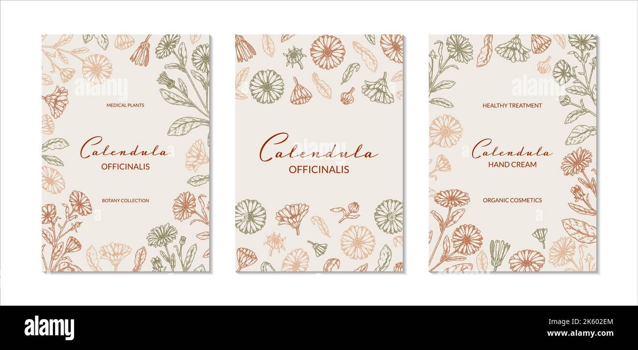 Set of calendula vertical packaging designs with hand drawn elements ...