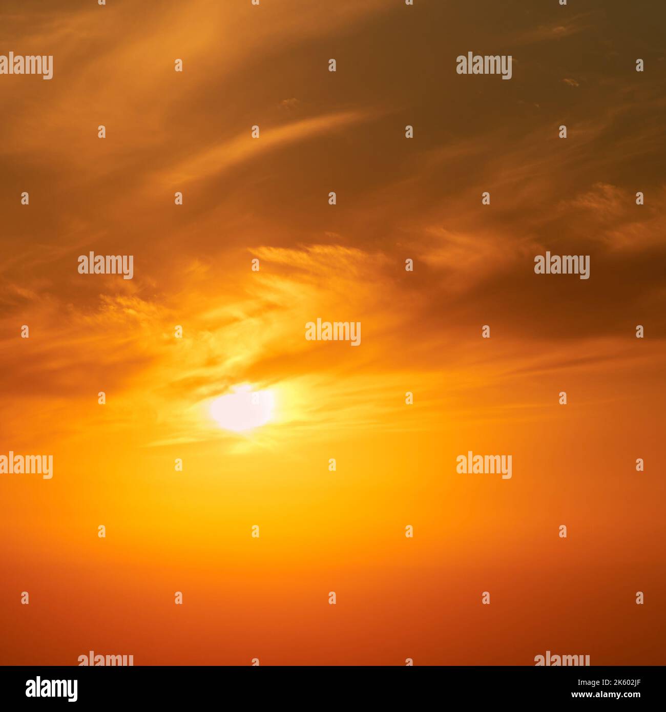 A big red sun in the sunset sky, a summer landscape. Evening sky in hot ...