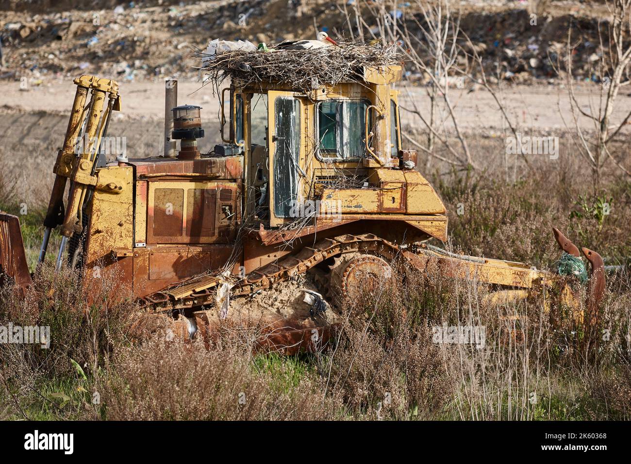 White stork nest in a garbage dump. Environmental pollution. Ecology ...