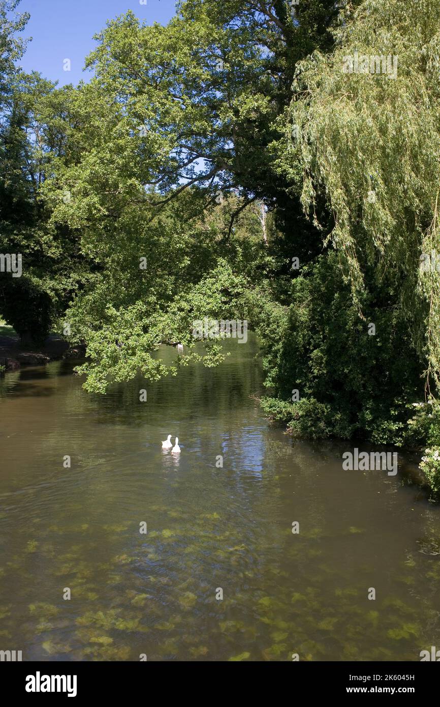 River brett in summer hi-res stock photography and images - Alamy