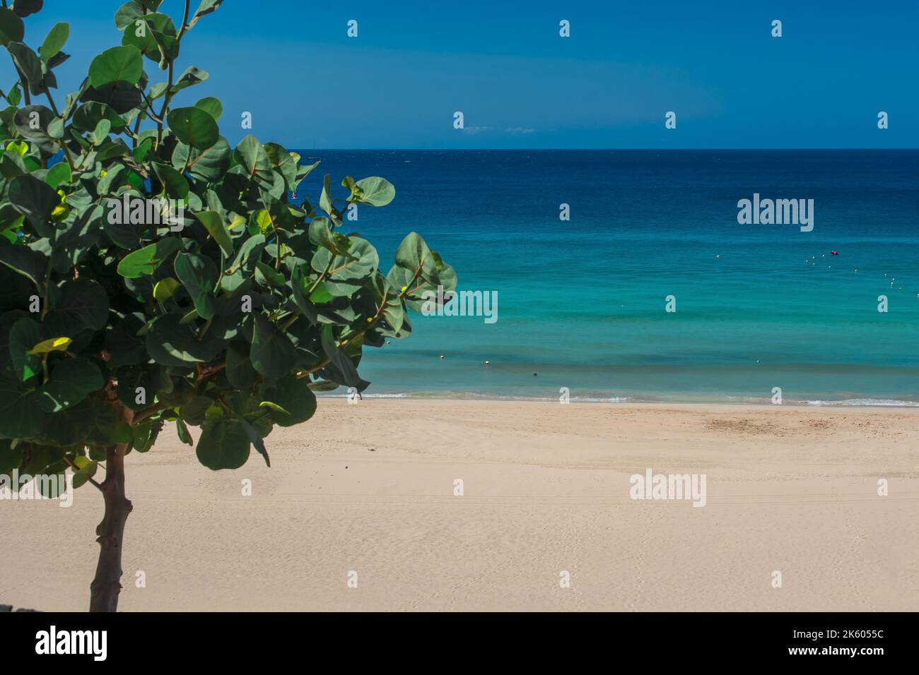 beach in Playa del Matorral in Morro Jable, Canary Island Fuerteventura ...