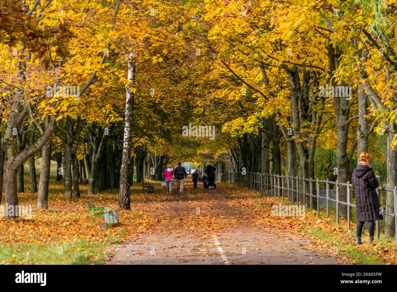 autumn background wallpaper. Beautiful autumn landscape with yellow ...