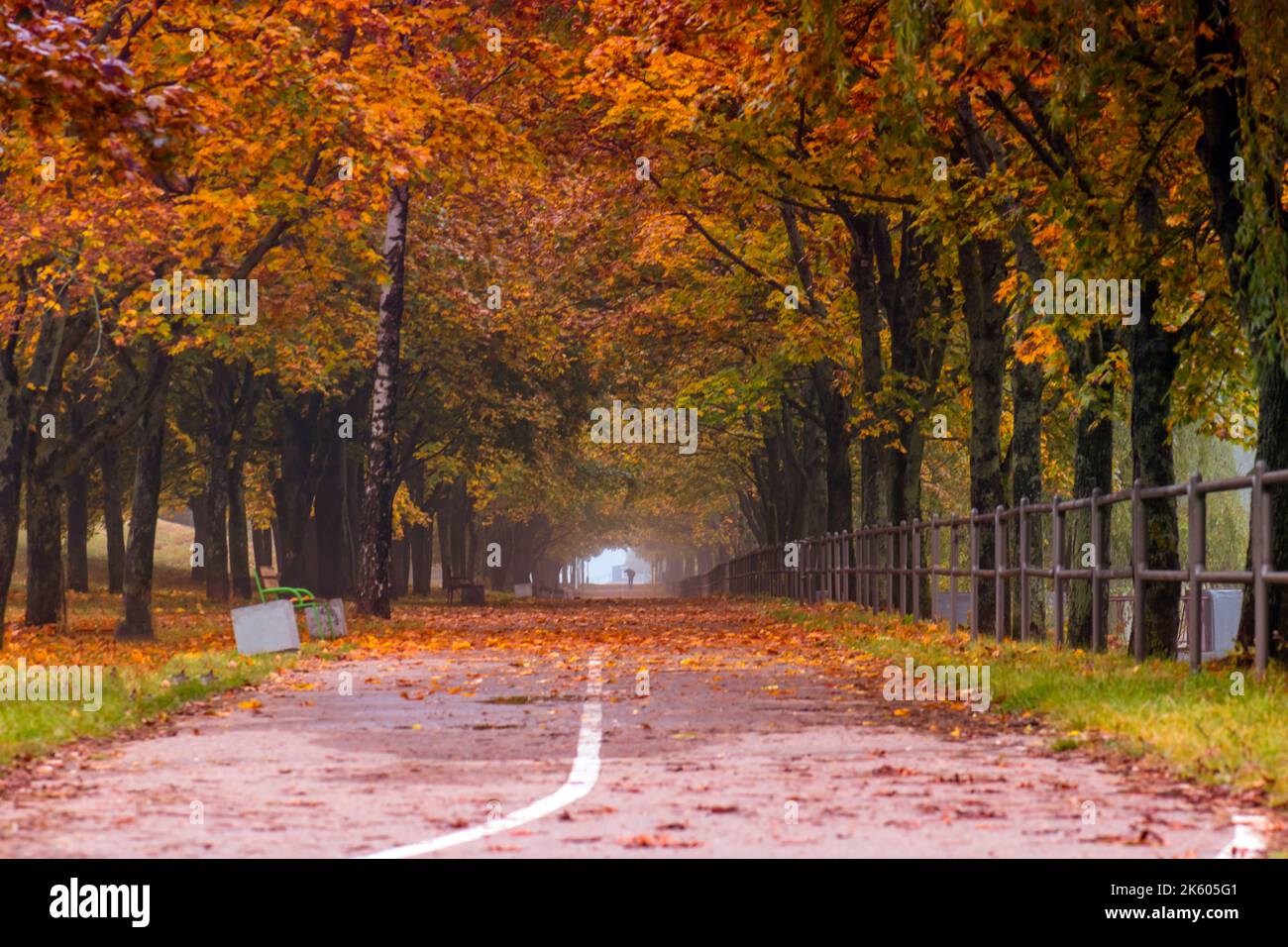 autumn background wallpaper. Beautiful autumn landscape with yellow ...