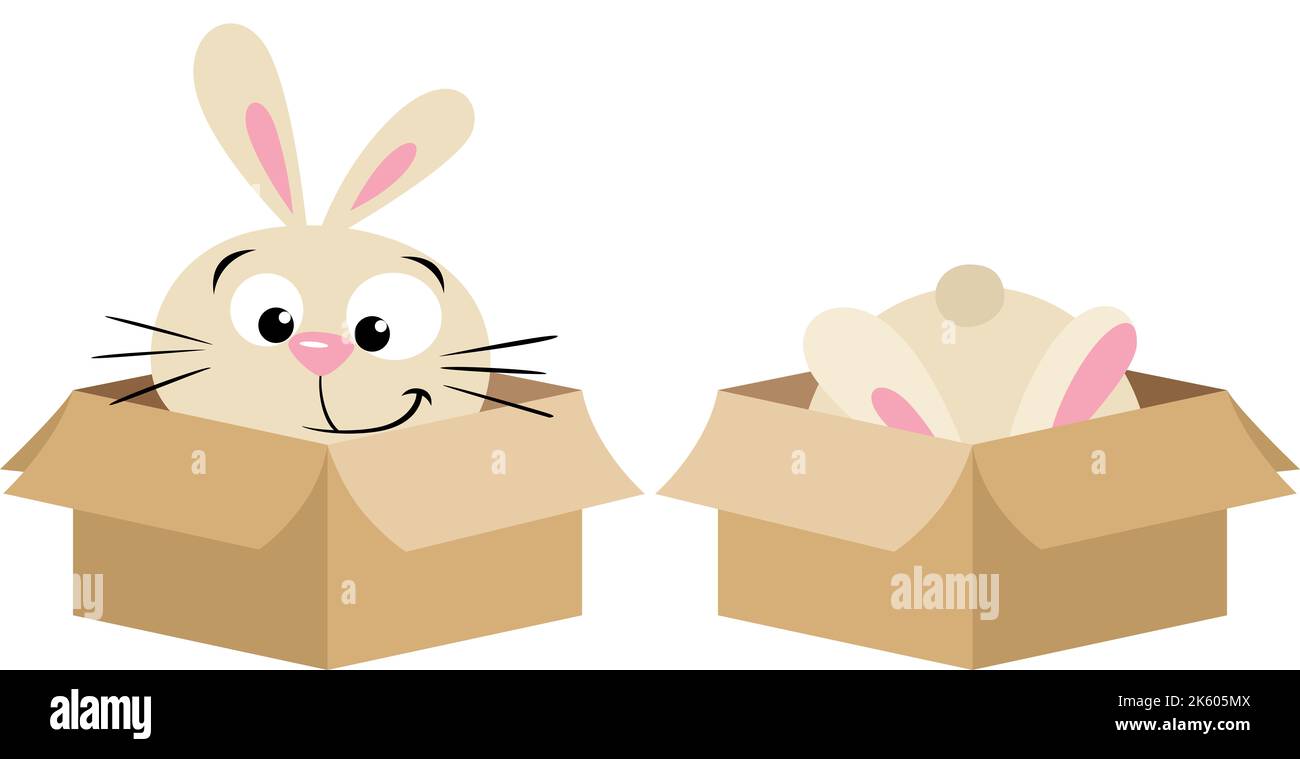 Cute funny bunny in cardboard box Stock Photo - Alamy