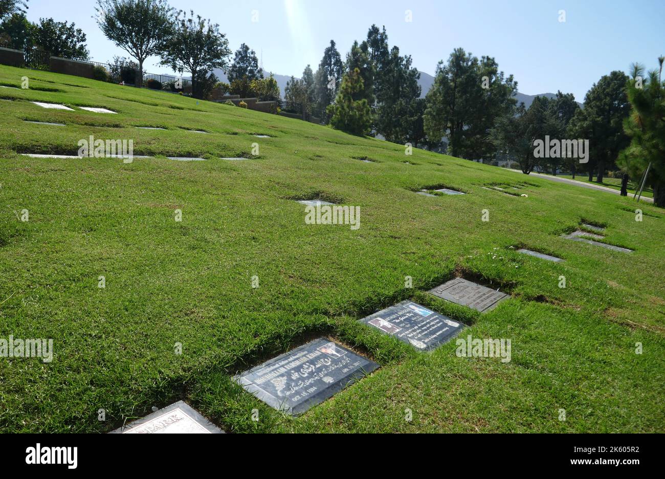 Los Angeles, California, USA 9th October 2022 Boxer Arthur 'The Golden ...