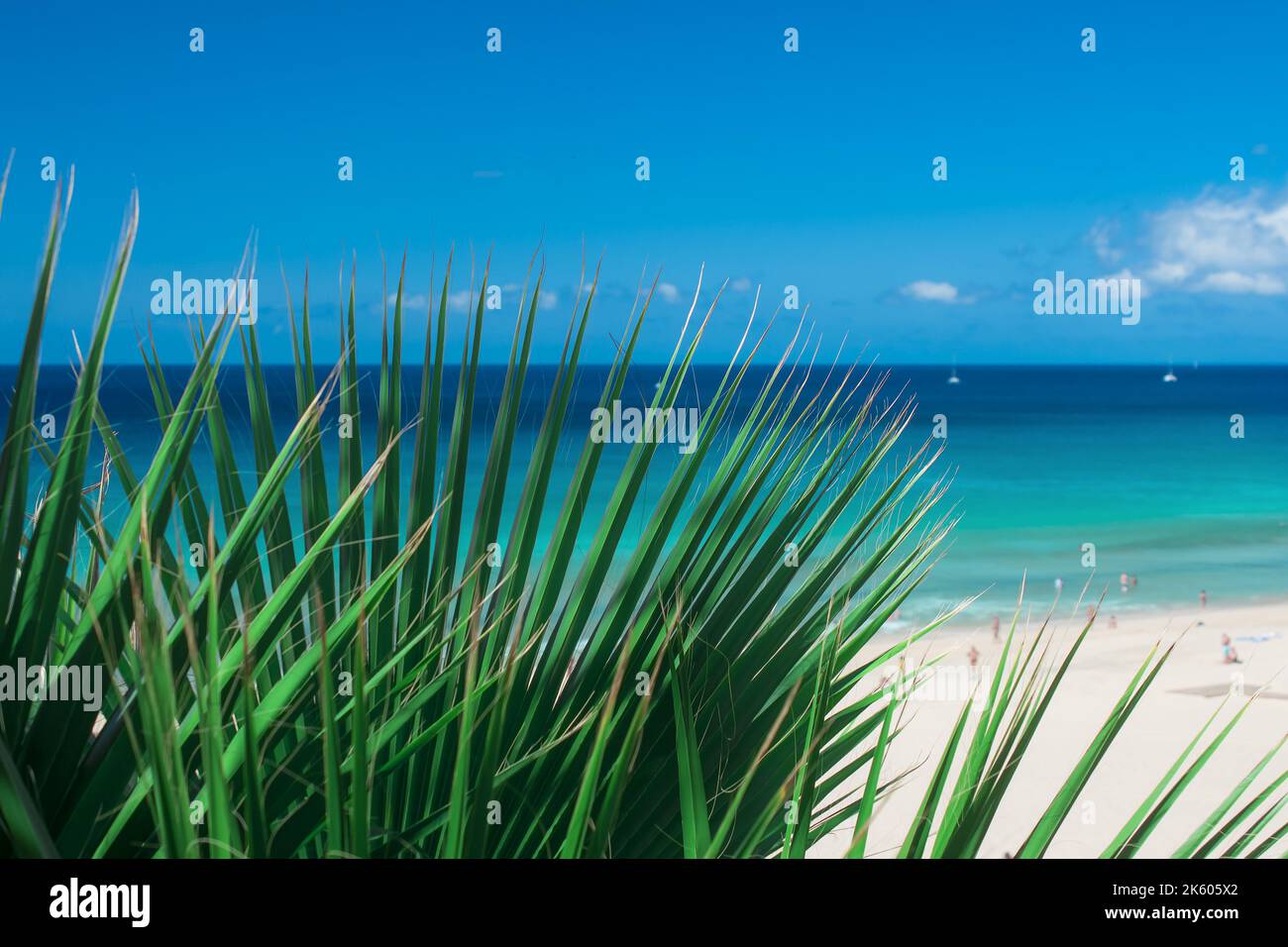 beach in Playa del Matorral in Morro Jable, Canary Island Fuerteventura ...