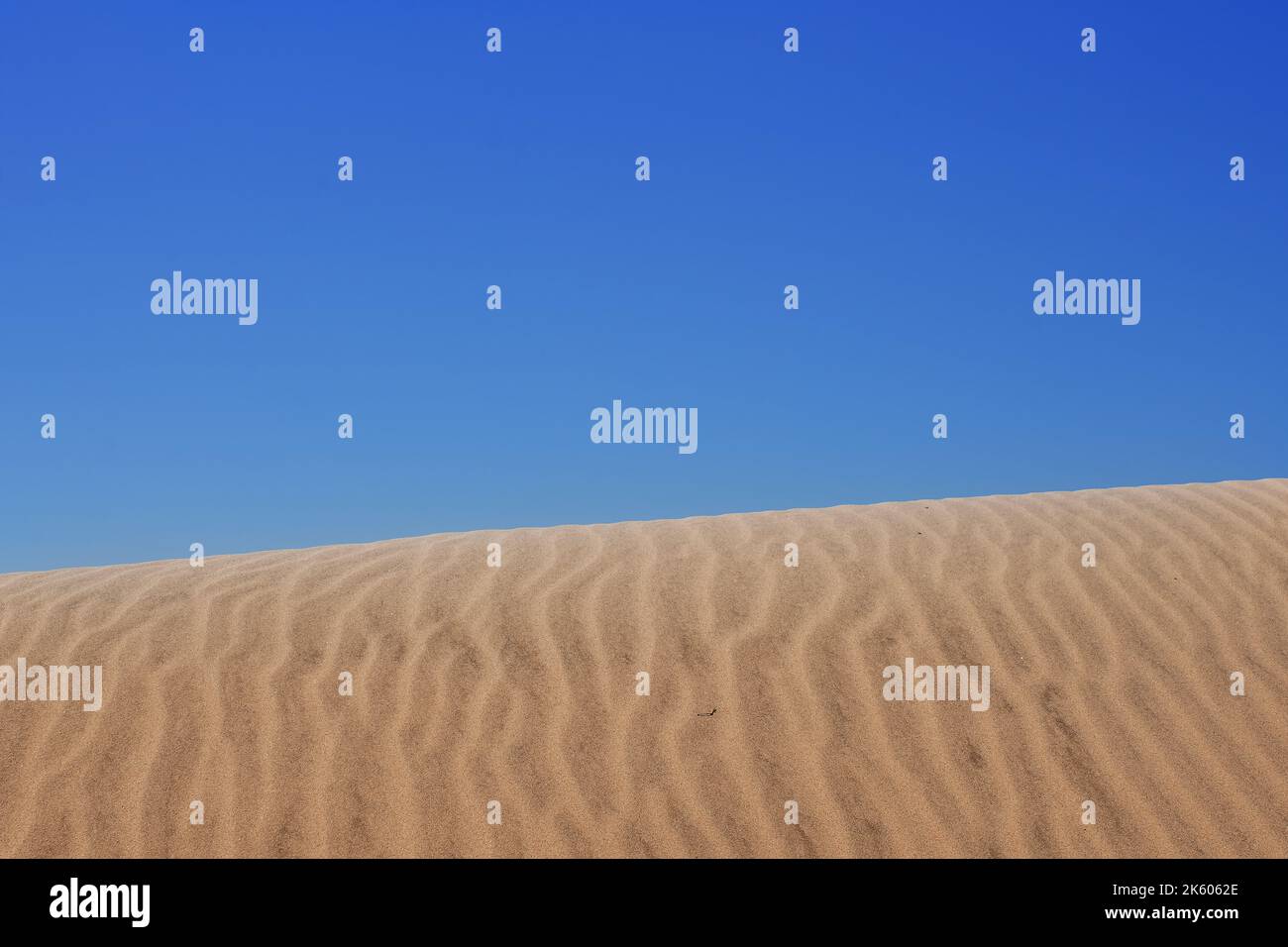 Gold desert hi-res stock photography and images - Alamy