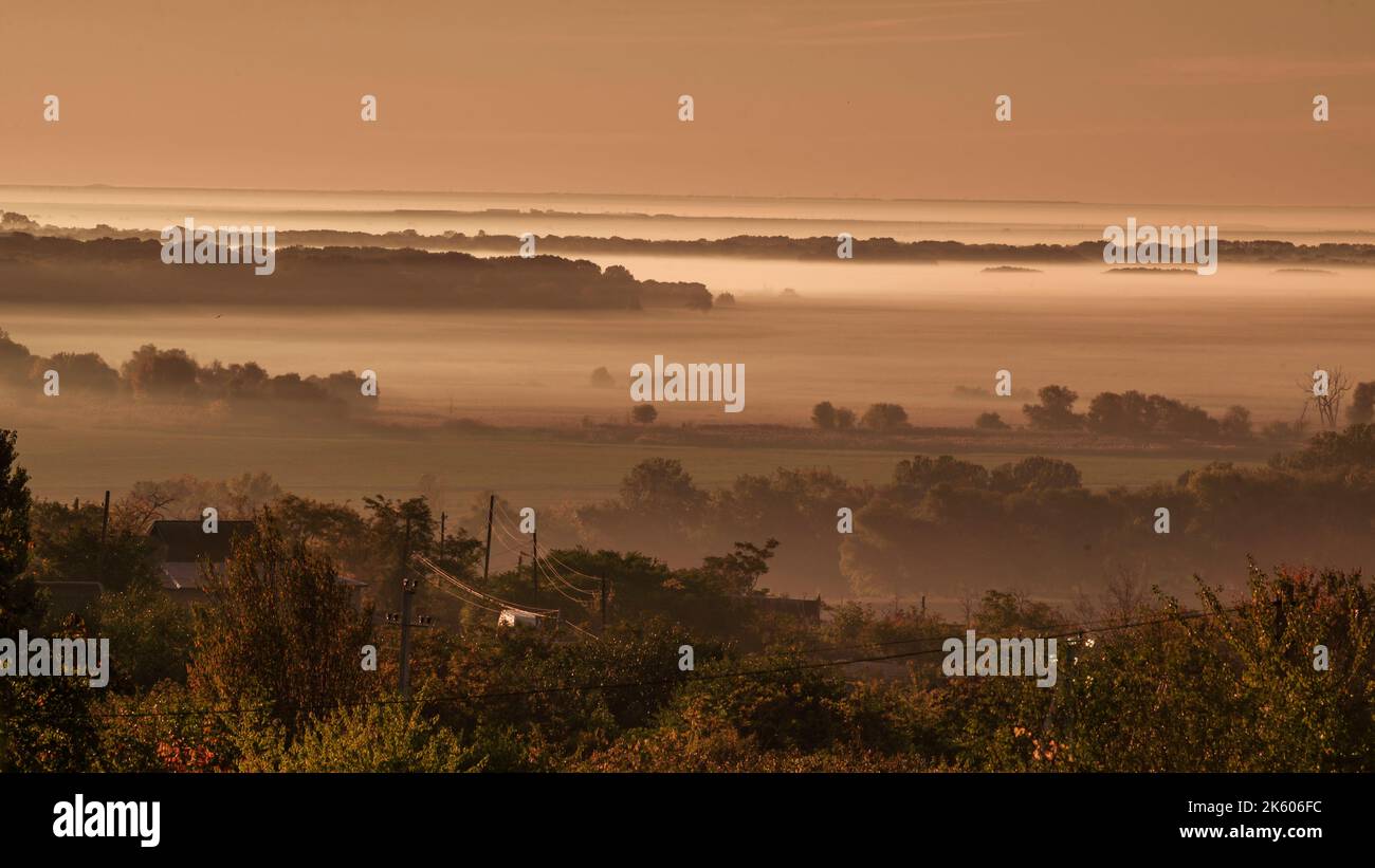 mysterious fog on hillside in autumn Mist, trees are wet, damp fog of ...