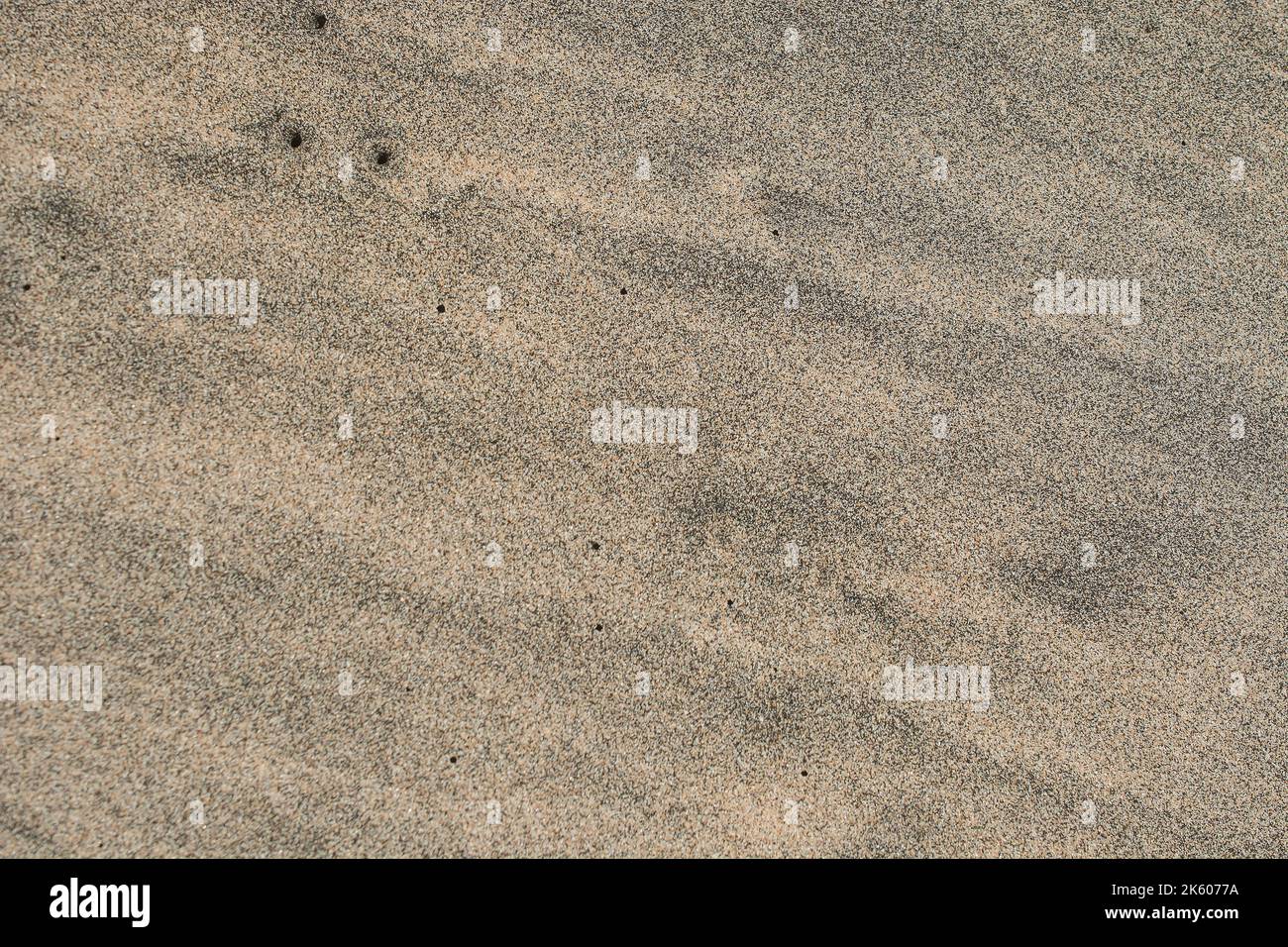 Gold desert Sand texture on the beach Stock Photo - Alamy