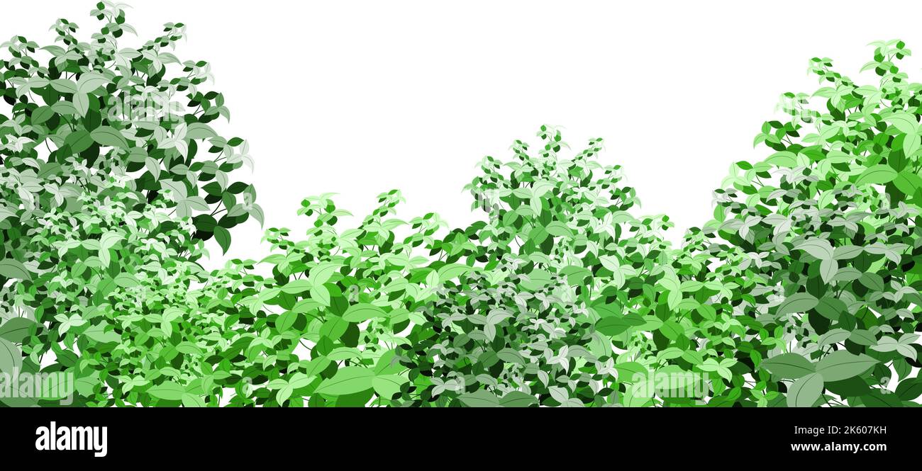 Realistic garden shrub, seasonal bush, boxwood, tree crown bush foliage ...