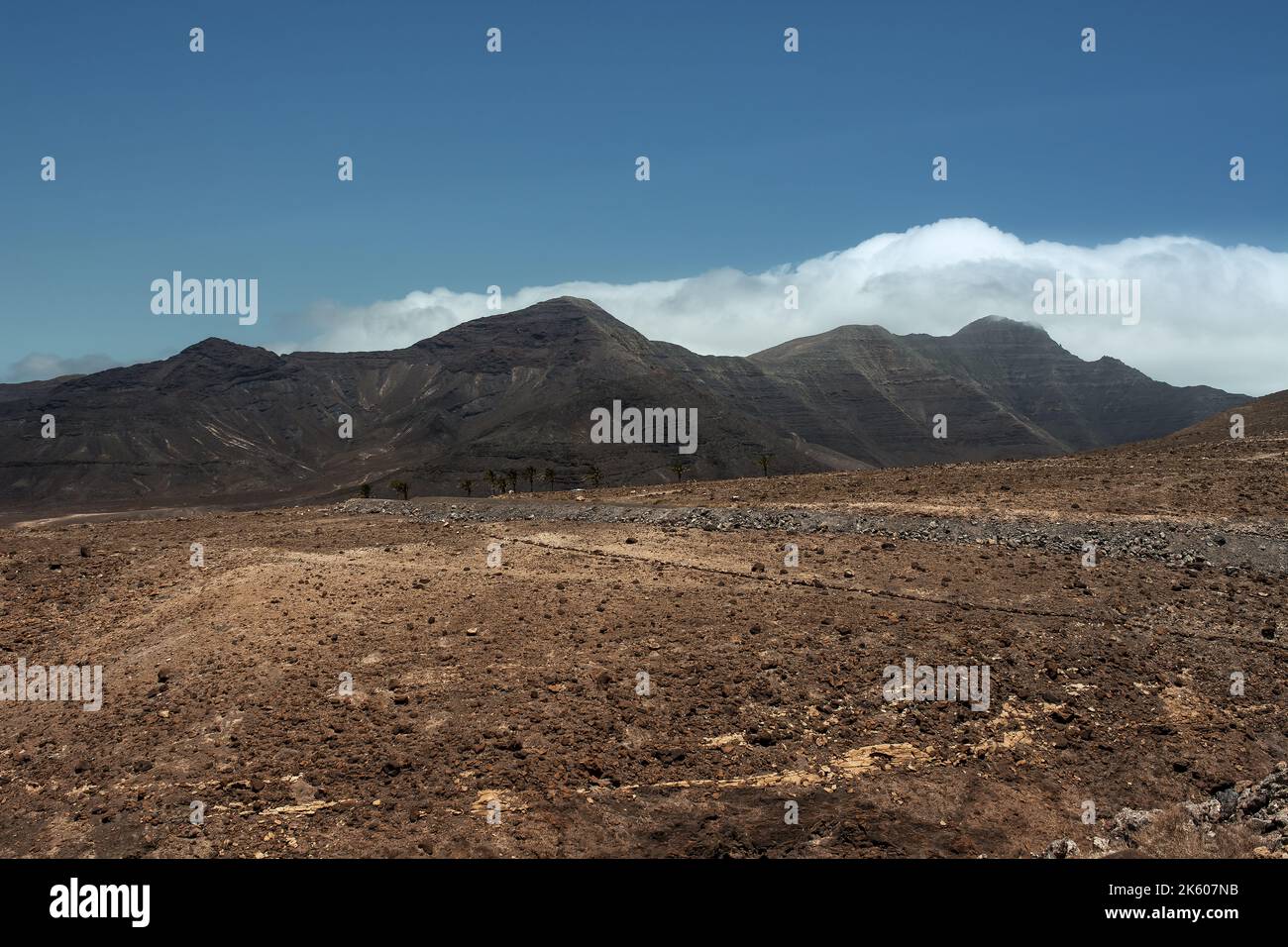 Gold desert Sand texture on the beach Stock Photo - Alamy
