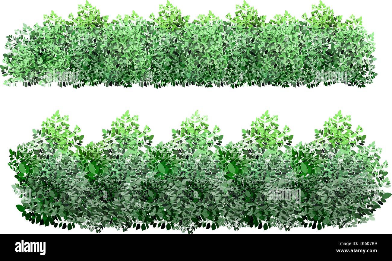 Realistic garden shrub, seasonal bush, boxwood, tree crown bush foliage ...