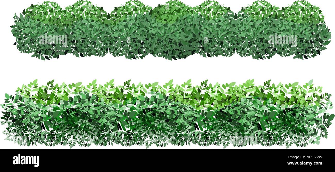 Realistic garden shrub, seasonal bush, boxwood, tree crown bush foliage ...