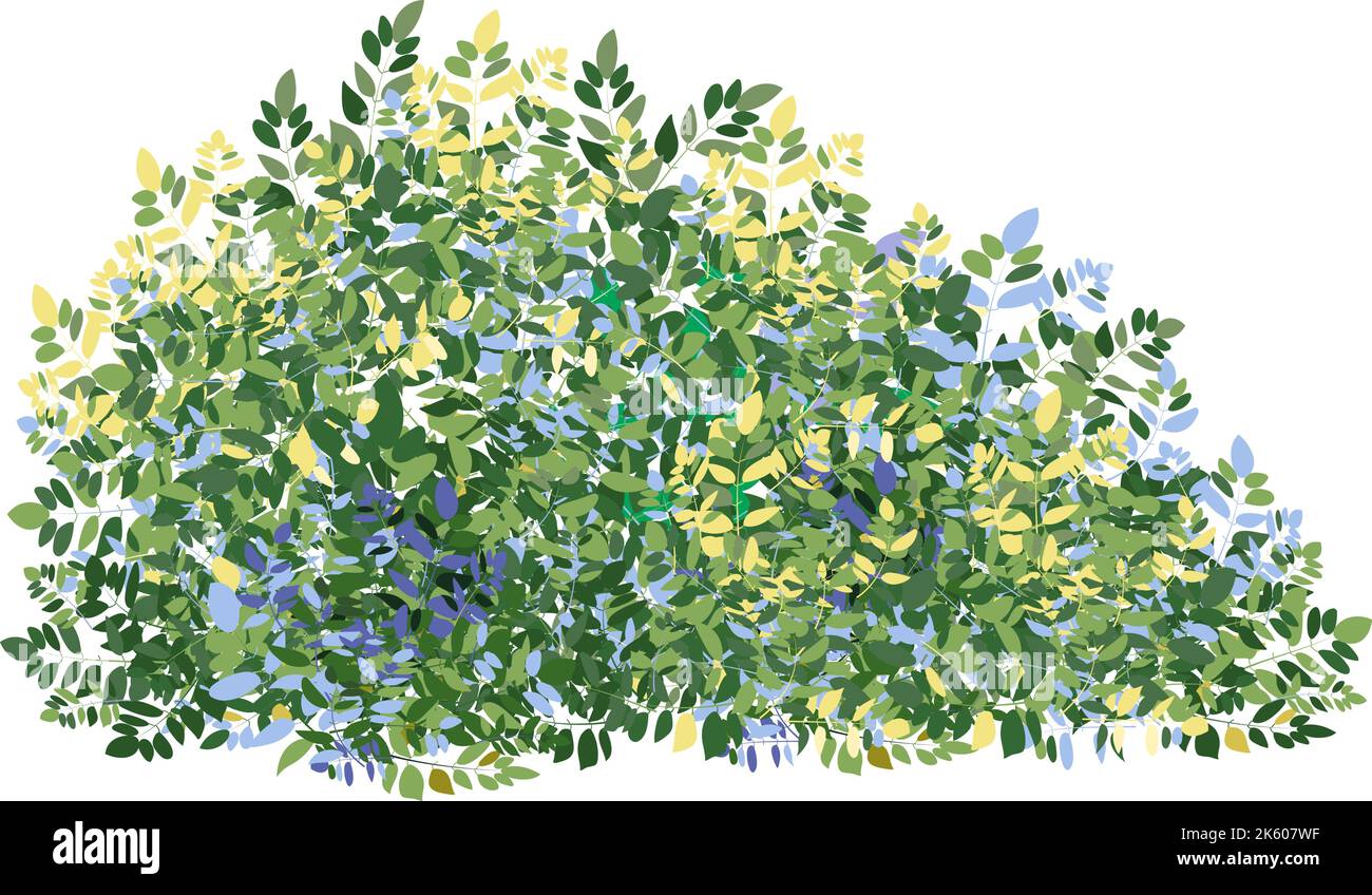 Realistic garden shrub, seasonal bush, boxwood, tree crown bush foliage ...