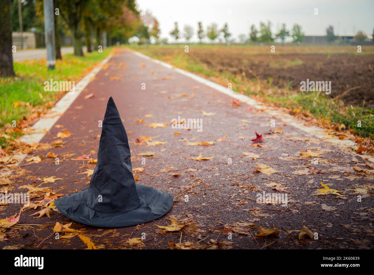 Black witch hat abandoned on a red road with autumn fallen leaves on a ...