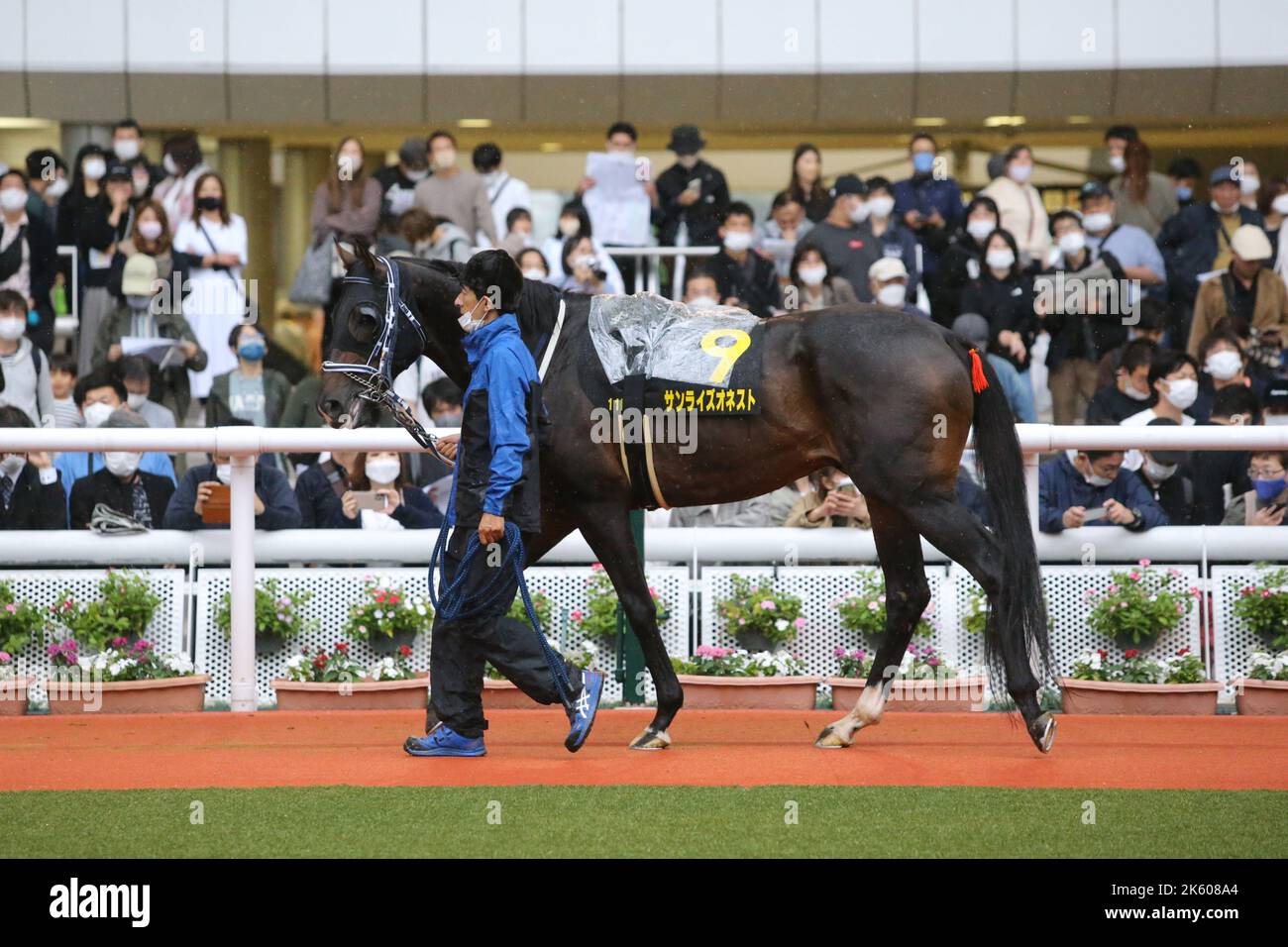 Hyogo, Japan. 9th Oct, 2022. Sunrise Honest Horse Racing : Sunrise ...