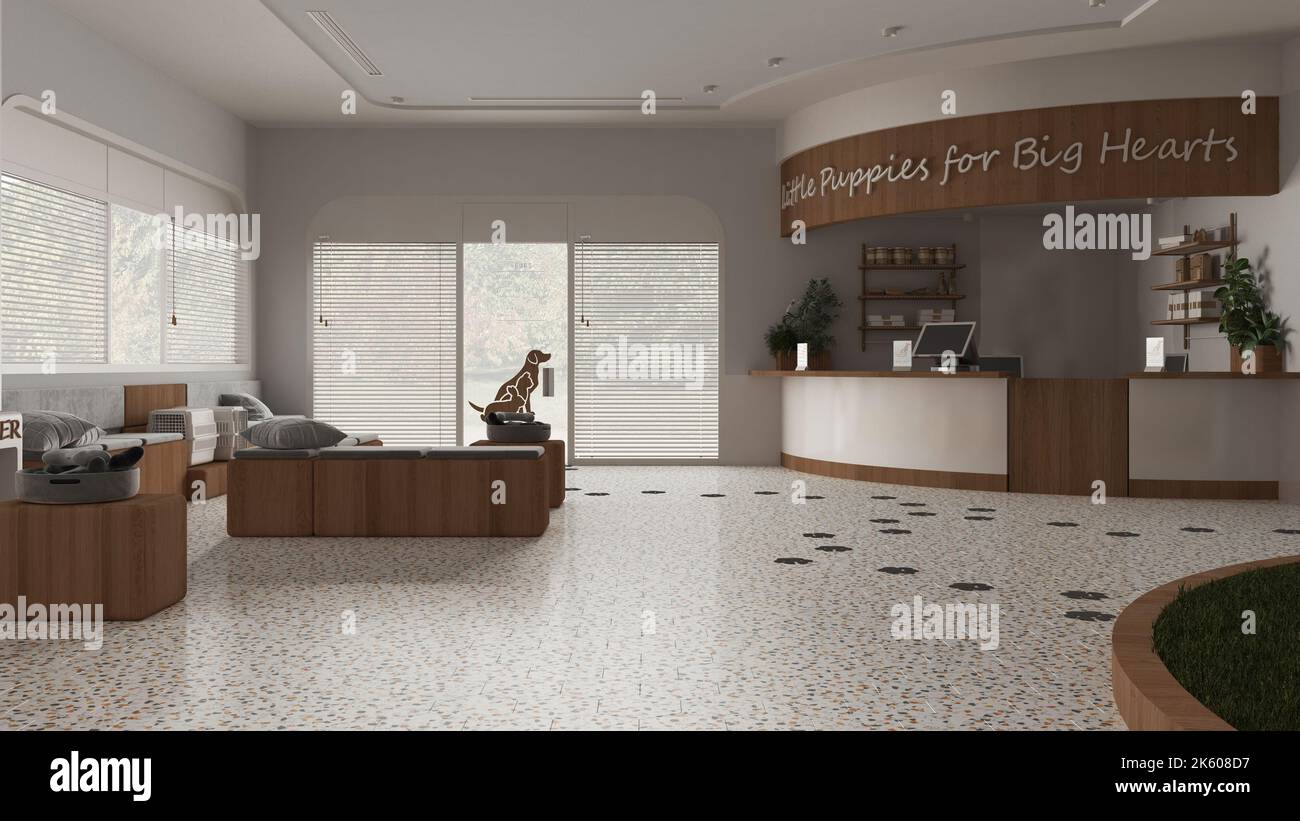Veterinary clinic in white and wooden tones. Waiting room with sitting ...
