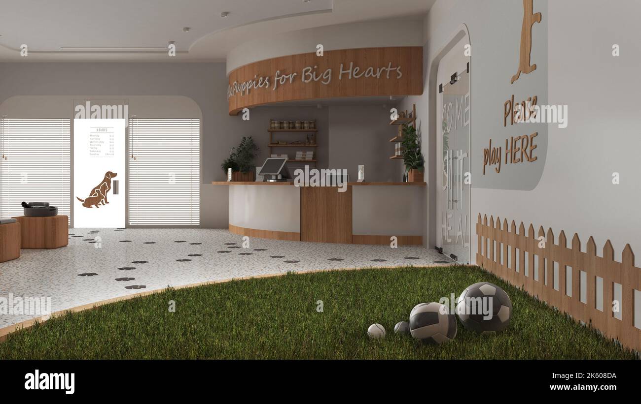 Veterinary clinic waiting room in white and wooden tones. Reception ...