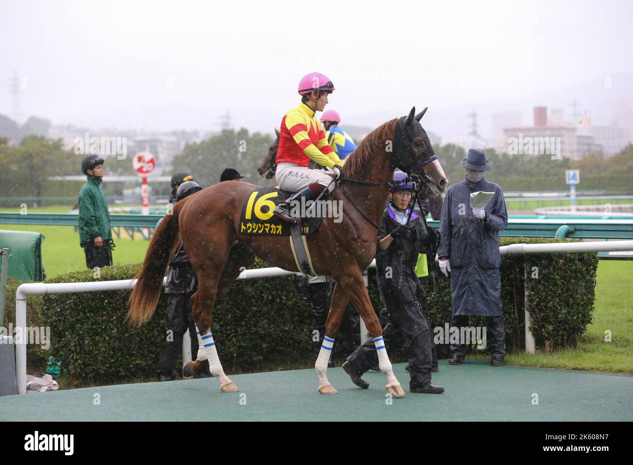 Hyogo, Japan. 9th Oct, 2022. Toshin Macau (Katsuma Sameshima) Horse ...