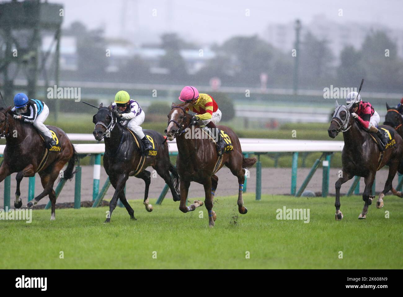 Hyogo, Japan. 9th Oct, 2022. Toshin Macau (Katsuma Sameshima) Horse ...