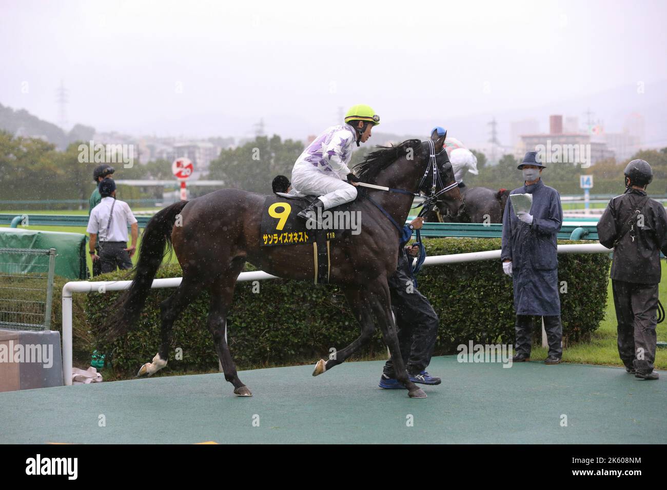 Hyogo, Japan. 9th Oct, 2022. Sunrise Honest (Norihiro Yokoyama) Horse ...