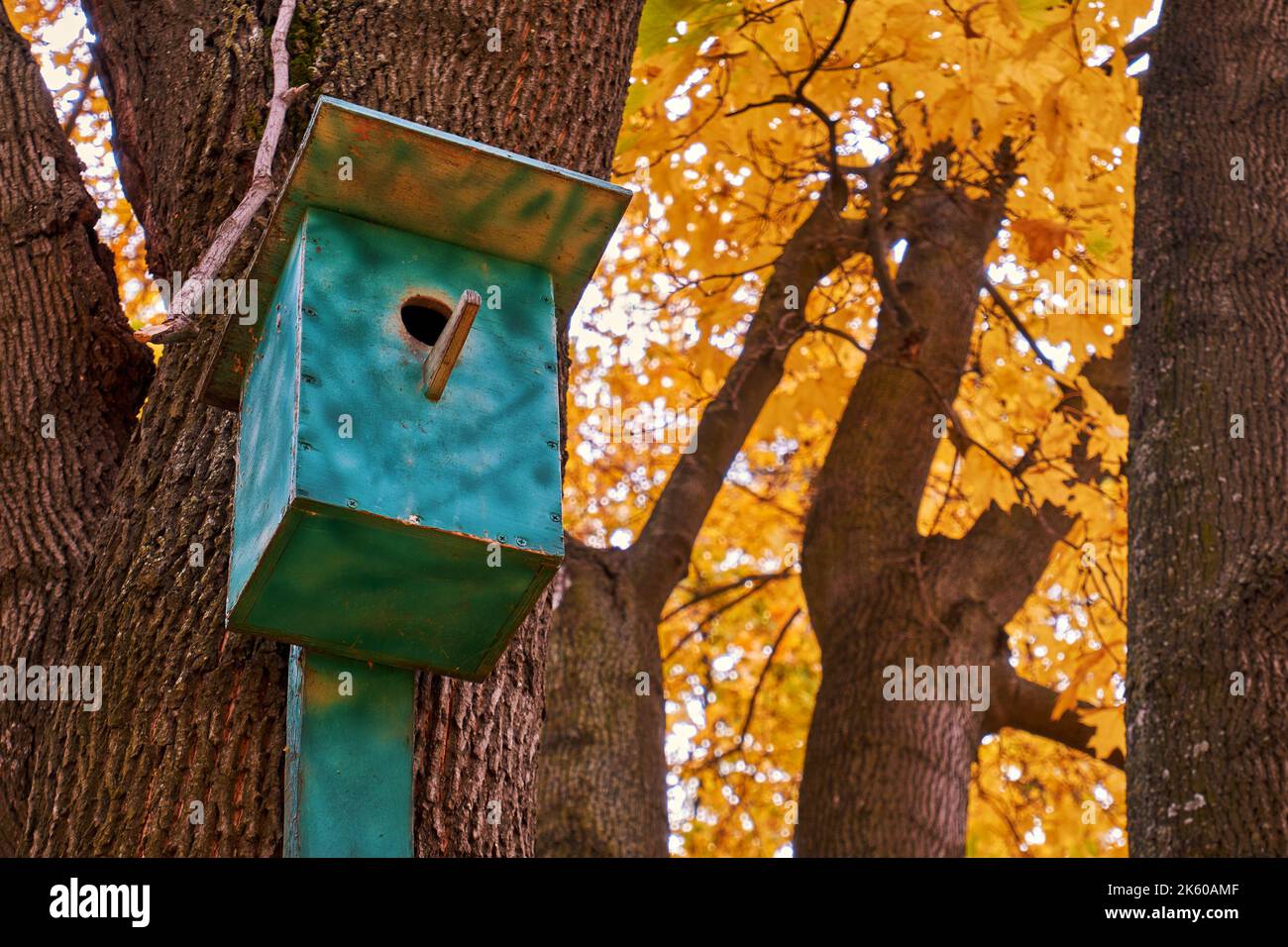 Without birds hi-res stock photography and images - Alamy