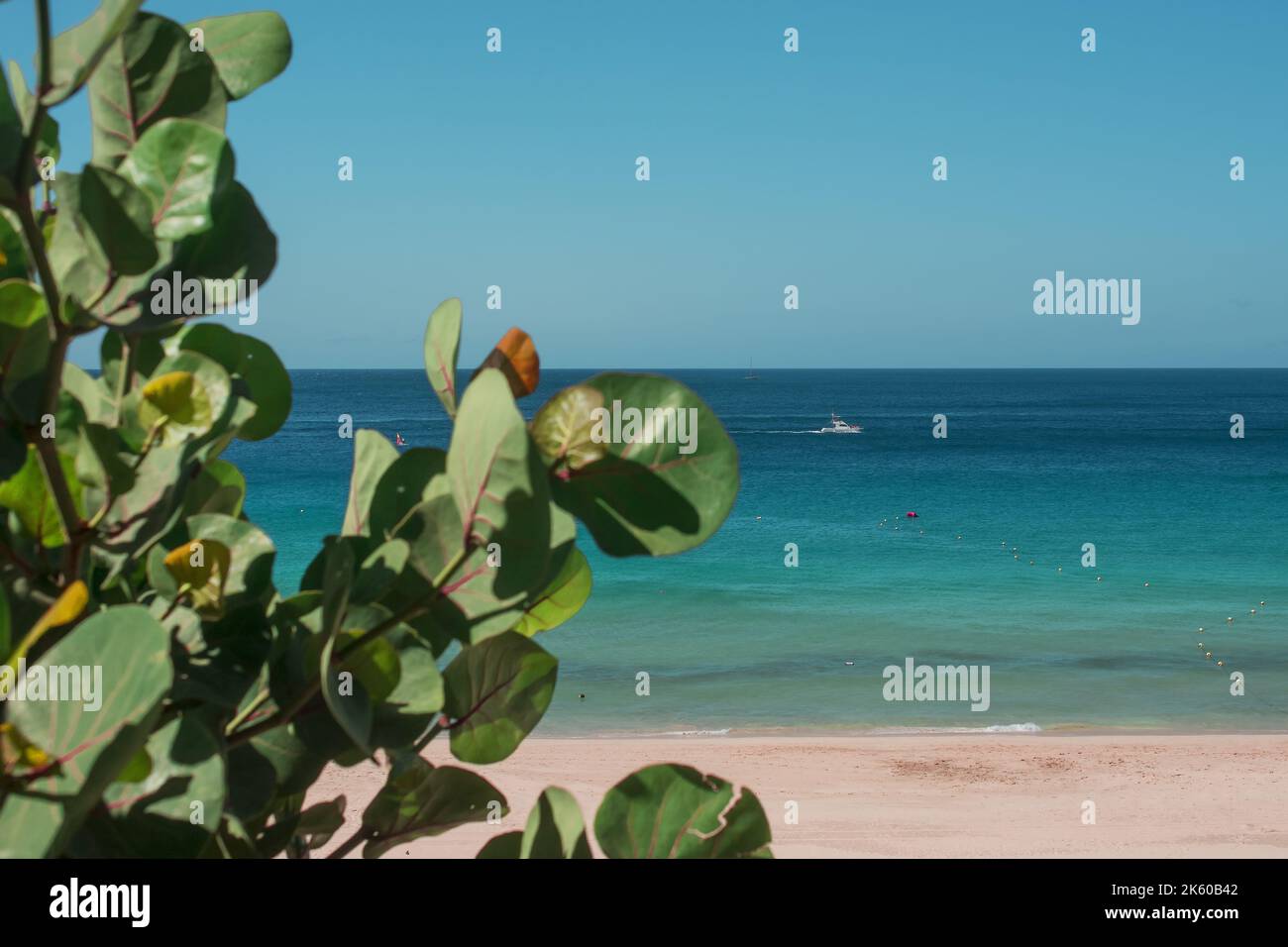Aerial view on the beach in Playa del Matorral in Morro Jable, Canary ...