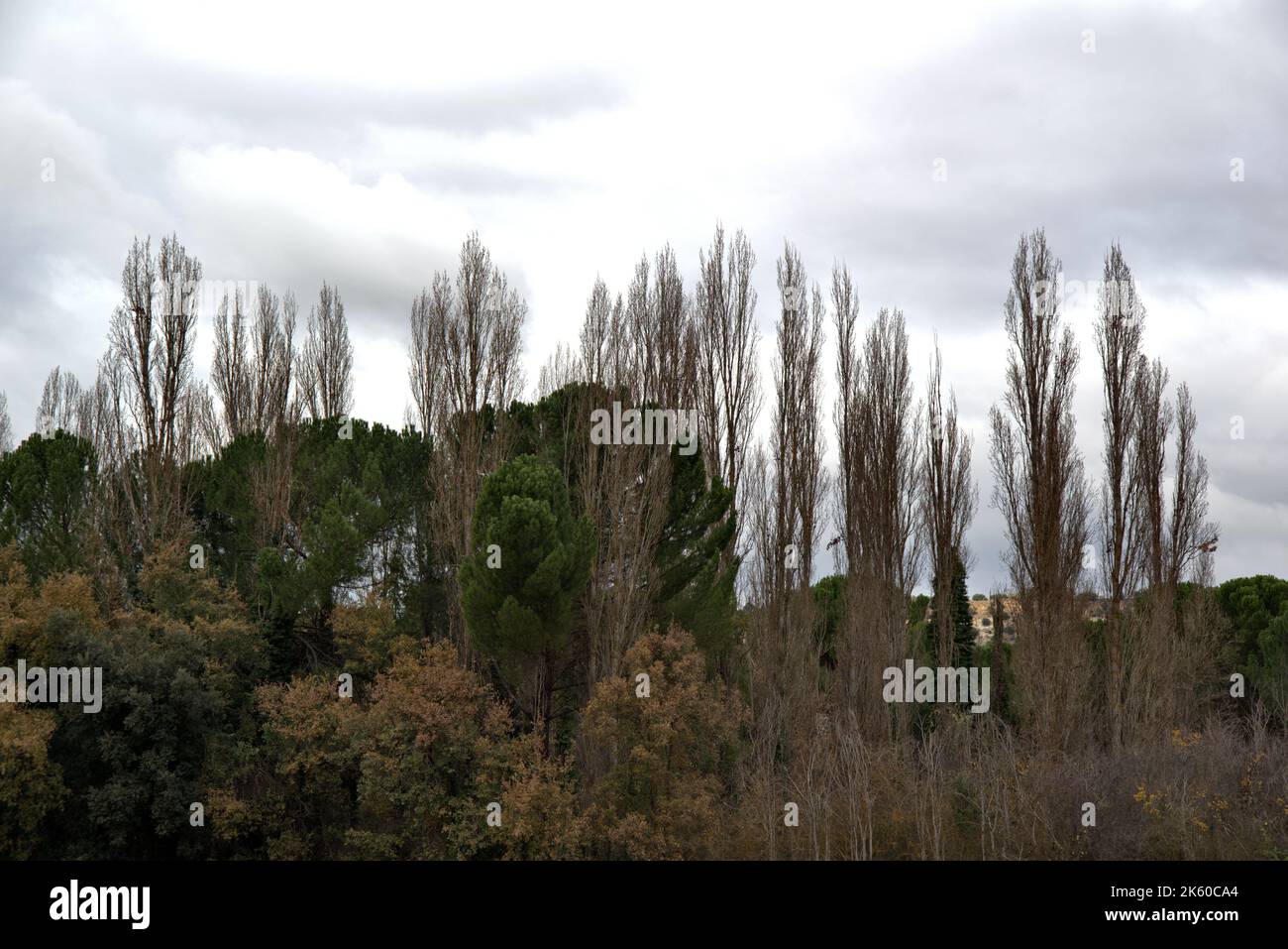 Cold grey winter sky hi-res stock photography and images - Alamy