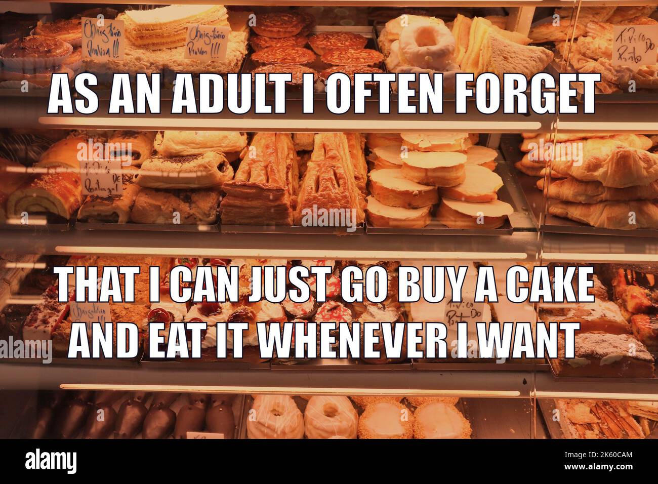 Funny meme social media hi-res stock photography and images - Alamy