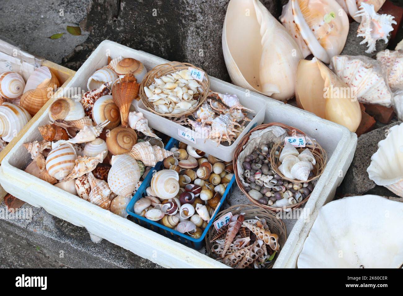 Taiwan beach shells hi-res stock photography and images - Alamy