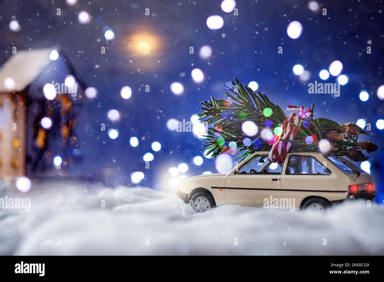 White toy car with a natural christmas tree on the roof driving in the ...