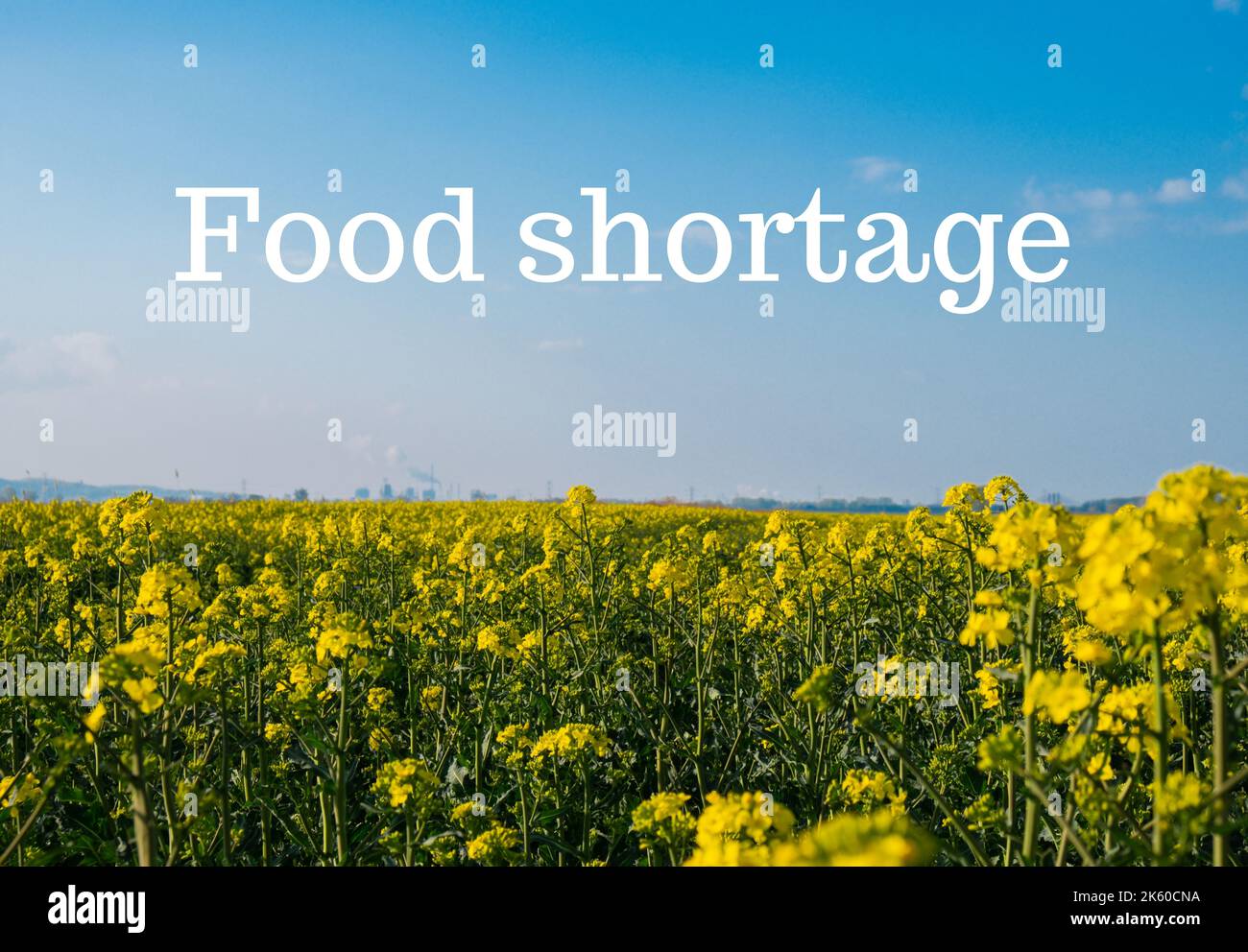 Text FOOD SHORTAGE against defocused agriculture field message. Global ...