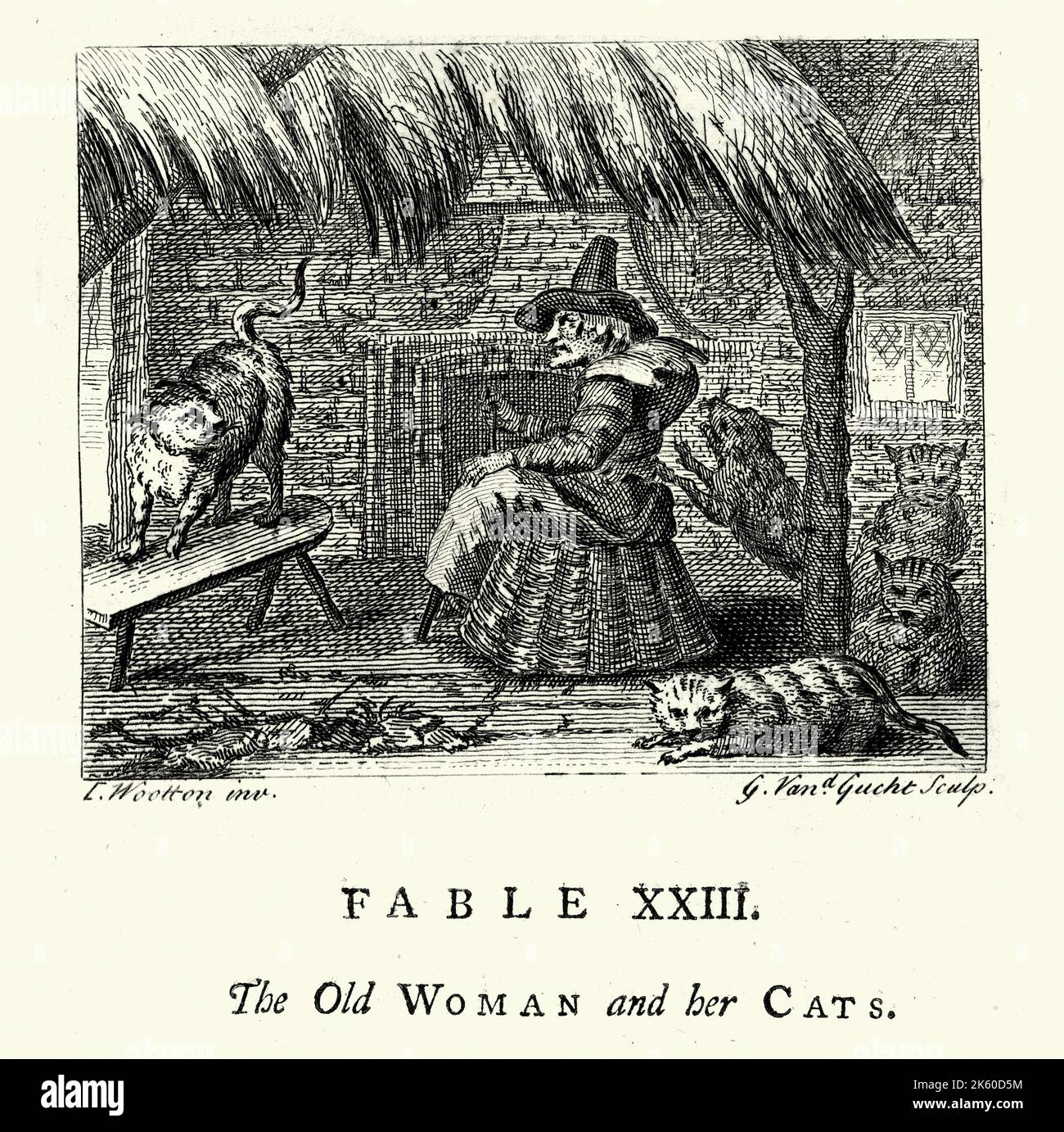 Vintage engraving The Old Woman and her cats, From the Fables of John ...