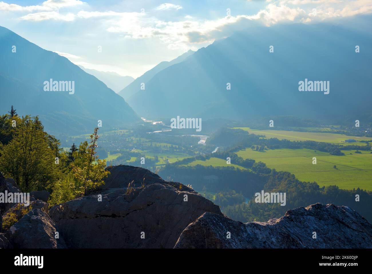 Soča river valley in Slovenian Alps. Trees on a rock. Sun rays Stock ...