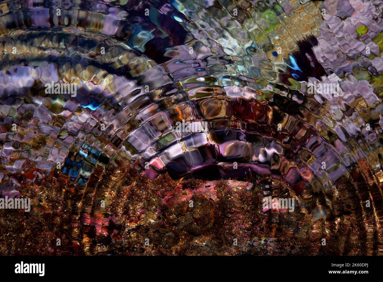 Light difraction; colourful concentric water waves on purple background ...