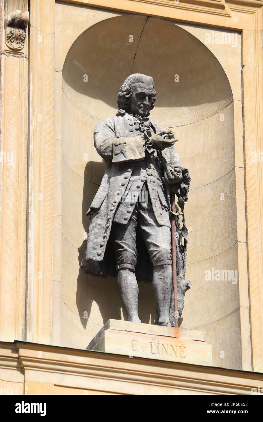STOCKHOLM, SWEDEN - AUGUST 23, 2018: Carl Linnaeus statue in Royal ...