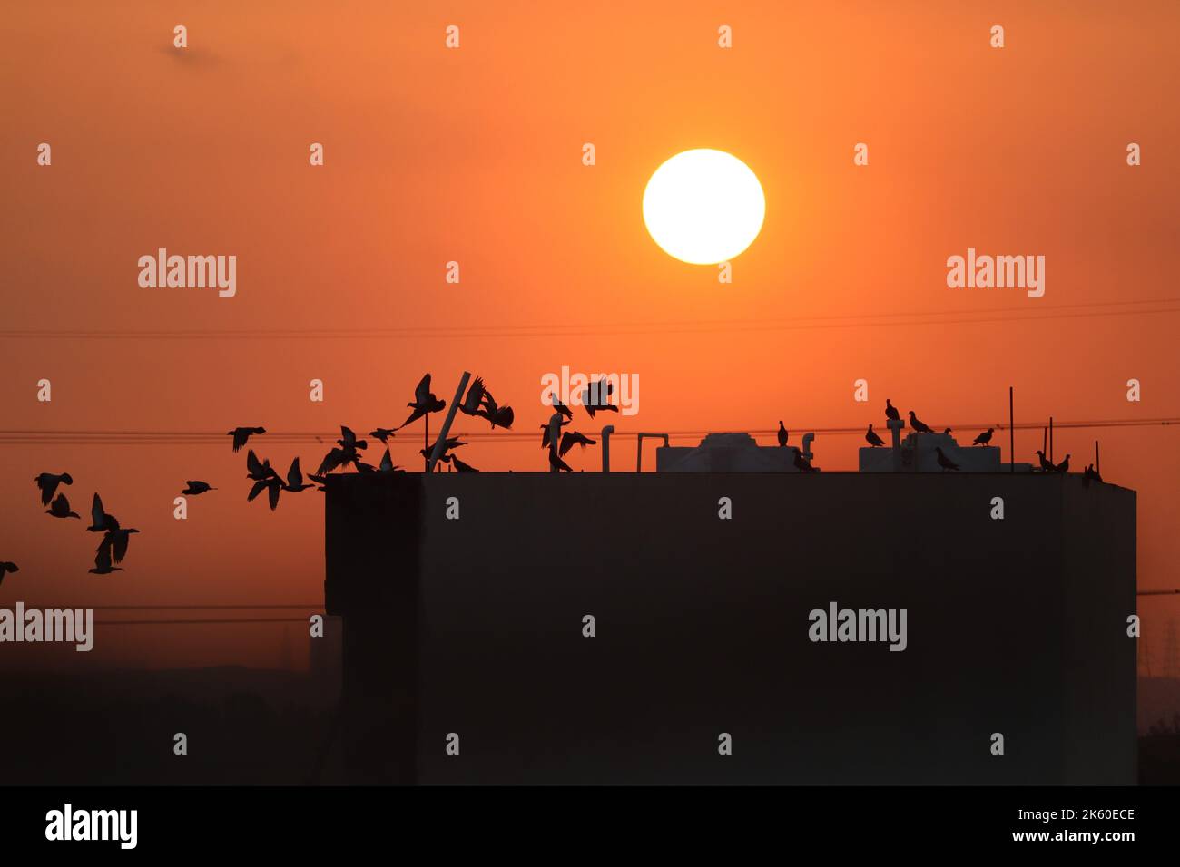 sunset in noida Stock Photo - Alamy