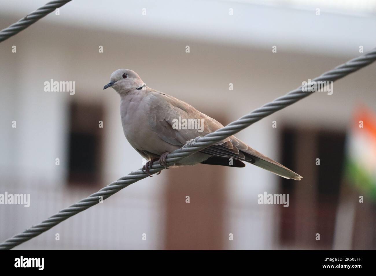 Noida hi-res stock photography and images - Alamy