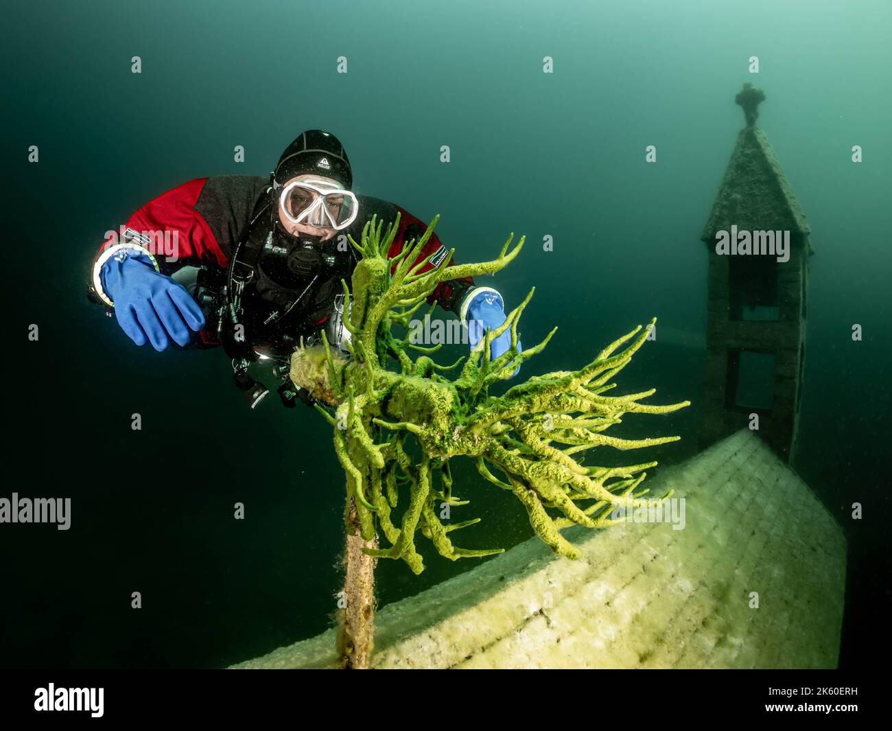 Seaweed tangled around the cross. Germany: IMAGES REVEAL an incredible ...