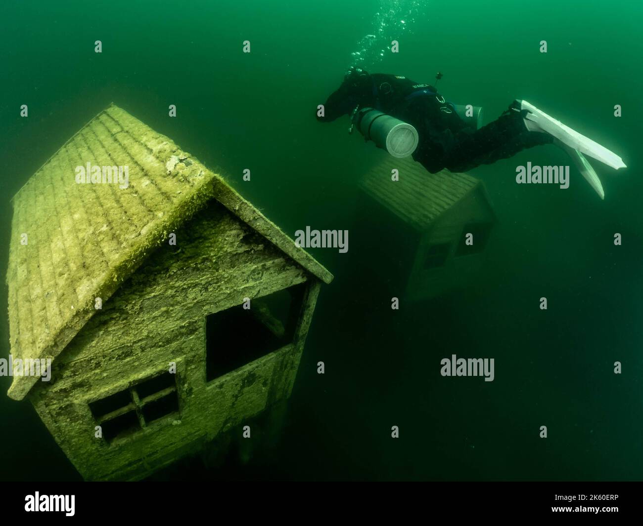 Matt likes to visit the multitude of sea life living in the homes ...