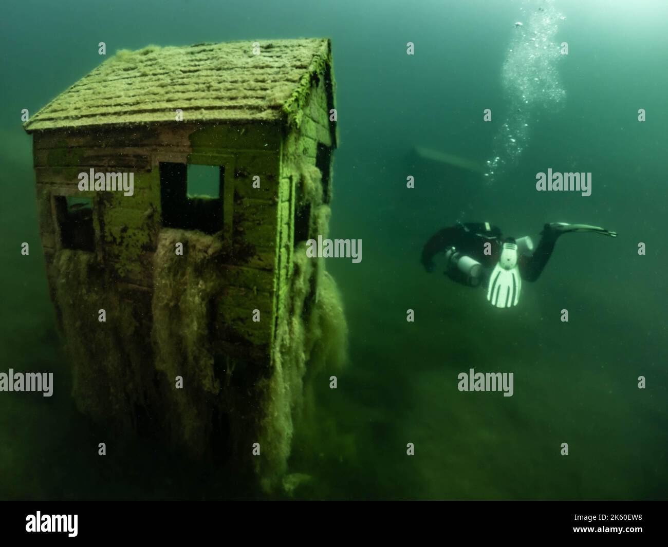 Seaweed pours out the sides of this house. Germany: IMAGES REVEAL an ...