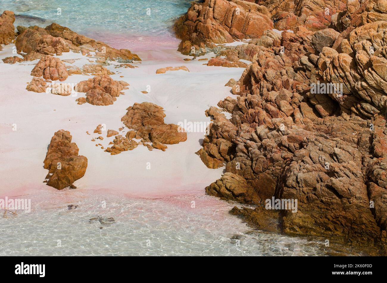Spiaggia rosa budelli hi-res stock photography and images - Alamy