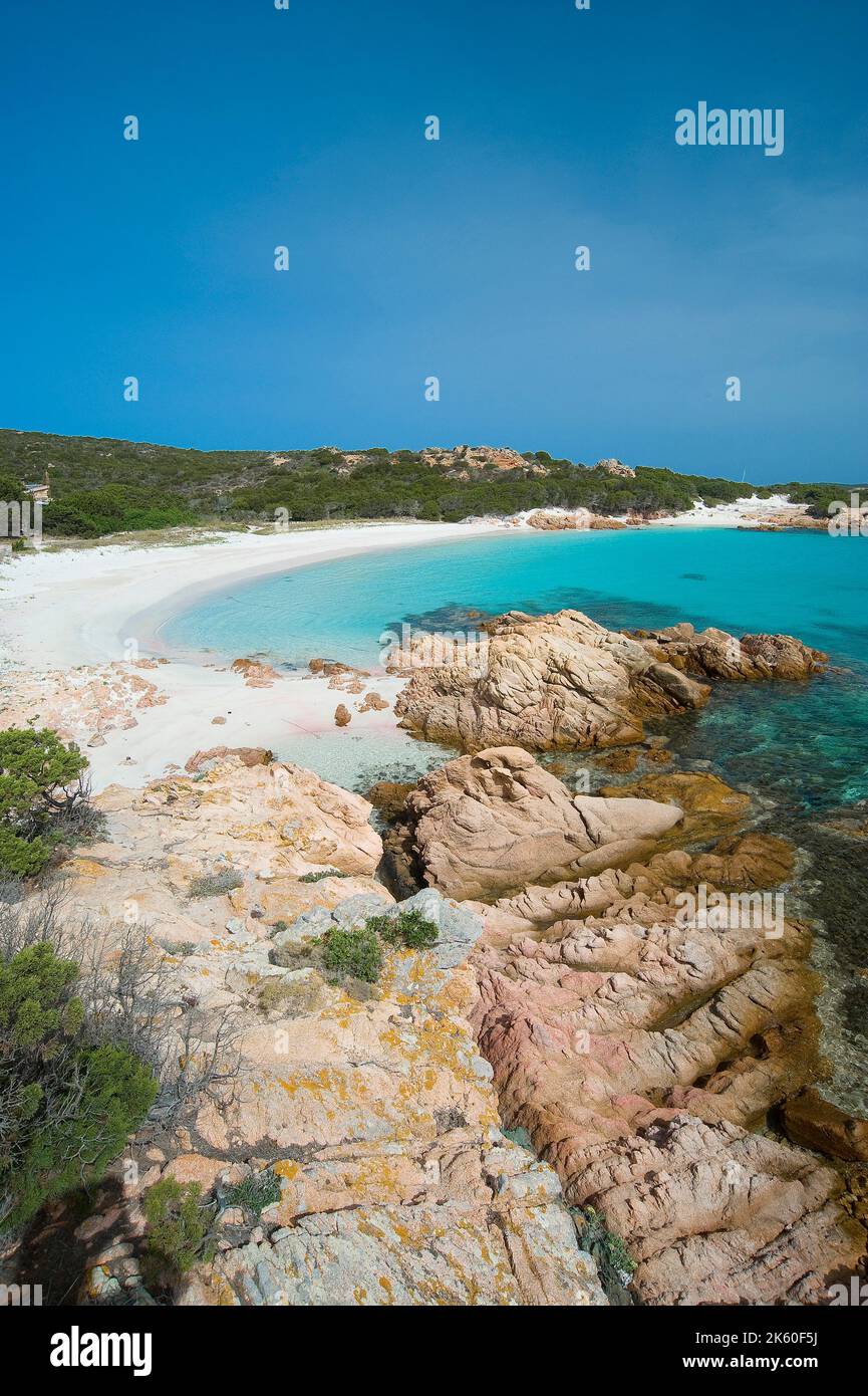 Spiaggia rosa budelli hi-res stock photography and images - Alamy
