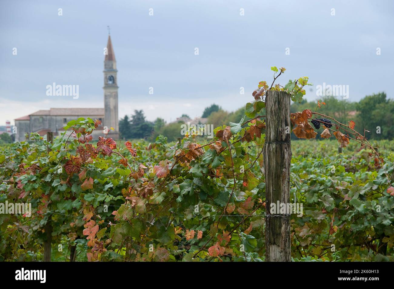 Maser hi-res stock photography and images - Alamy