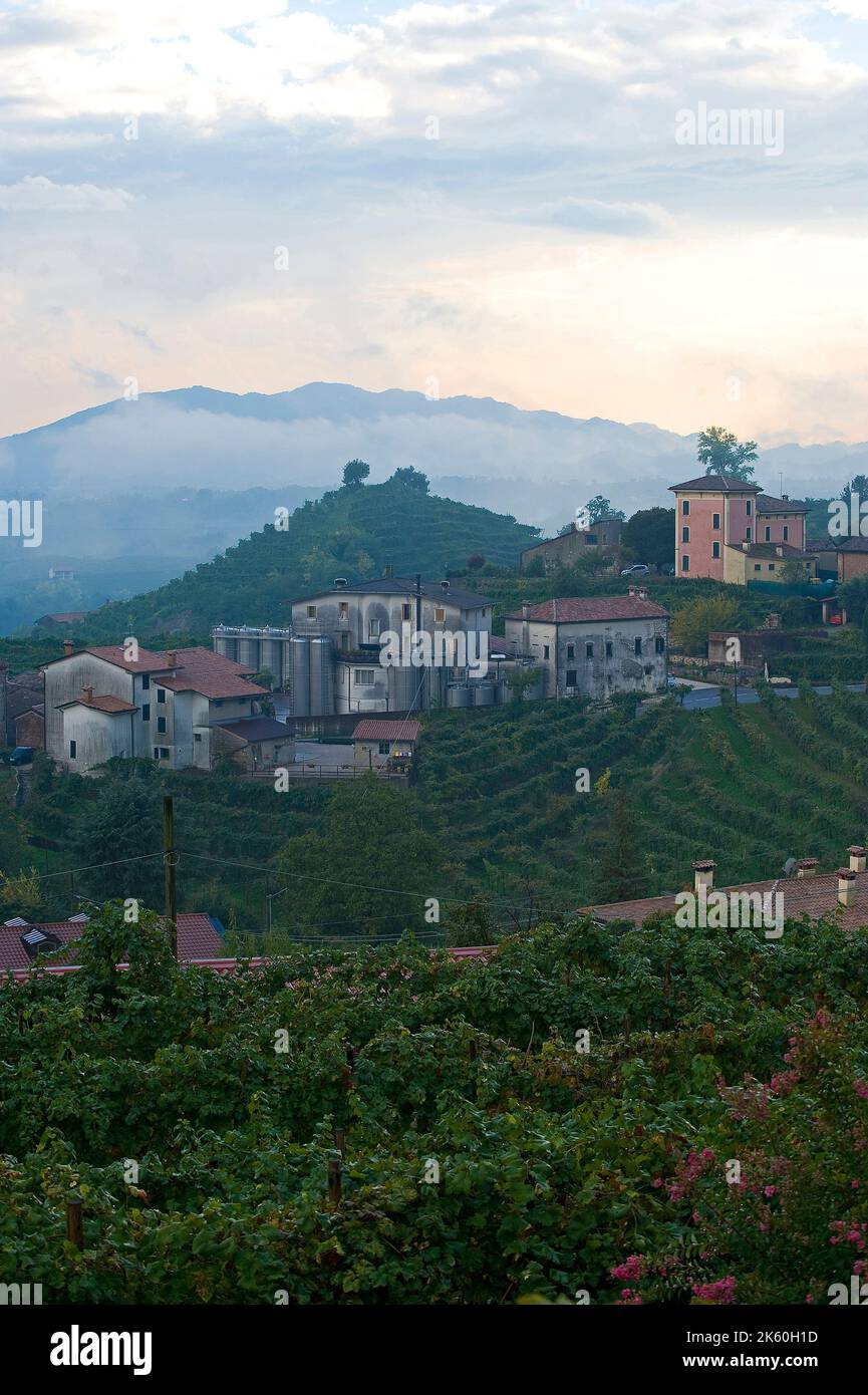 Valdobbiadene the prosecco vineyards hi-res stock photography and ...